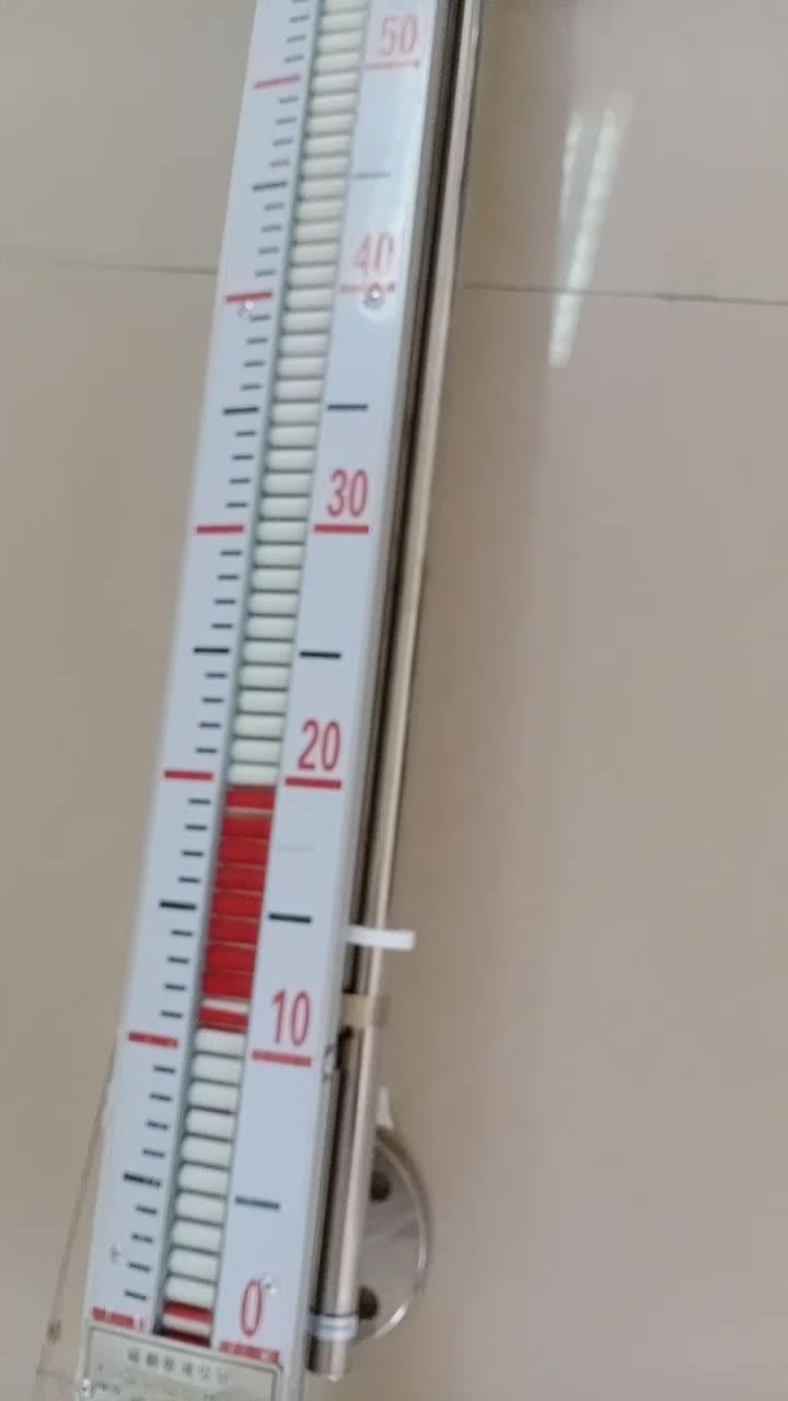 Magnetic flap liquid level gauge supporting magnetostrictive liquid le ...